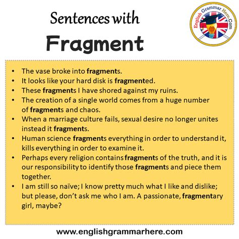 Sentences With Discover Discover In A Sentence In English Sentences
