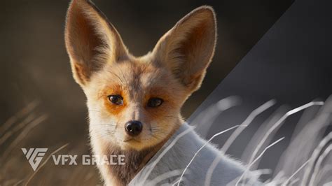 Arabian Red Fox Blender Asset Superhive Formerly Blender Market