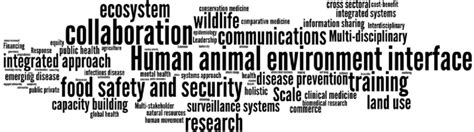 A Word Cloud Identifying Key Words And Terms Associated With