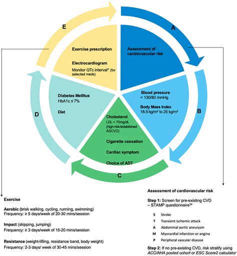 A Proposed Abcde Approach To Managing Cardiovascular Disease In Download Scientific Diagram