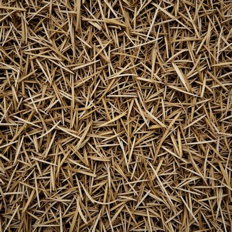 Dead Grass Texture Stable Diffusion Online