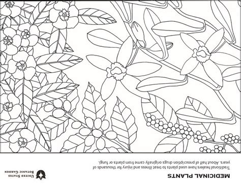 Soil Coloring Pages Coloring Nation