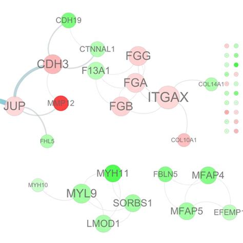 Functional Interaction Sub Network Constructed Using Module Genes A