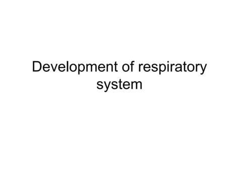 Chapter 1 Fetal Lung Development Pptx