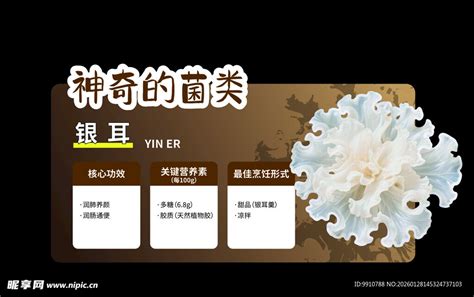 银耳设计图 广告设计 广告设计 设计图库 昵图网