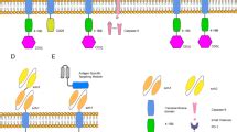 Car T Cell Therapy In Aml Recent Progress And Future Perspectives