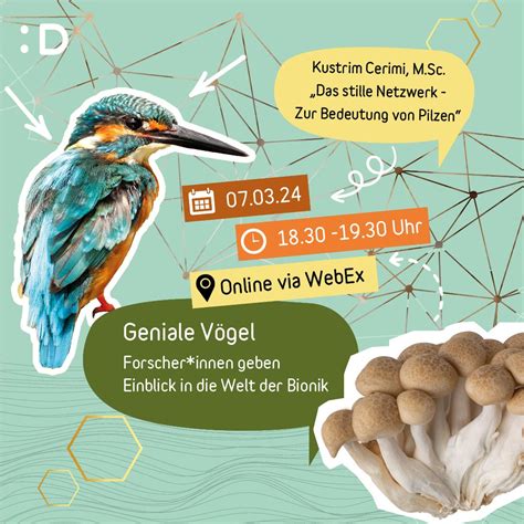 Dasa Dasa Talk Presentation Fungi Mushroom Exhibition Dasa