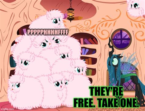 Mlp Fluffle Puff Memes Mlp Fluffle Puff 2025 Afront Art Pl