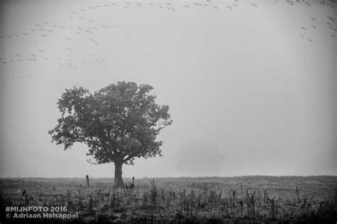 Adriaan Holsappel Mijnfoto 2016 Robbie Veldwijk Fotografie Landschapsfotografie