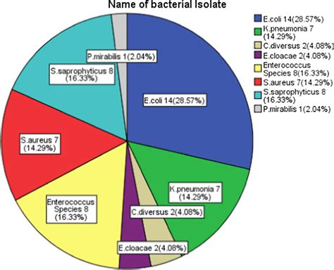 The Proportion Of Bacterial Uropathogens Isolated From Urinary Stone Download Scientific