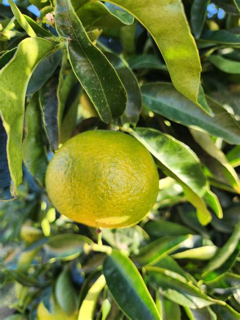 Dacna Stephanie Jonhson Quezada Posted On Linkedin