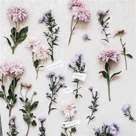 22 Aesthetic Pastel Flowers