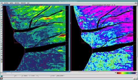 Example Of Seismic Attributes Computed Seismic Amplitude Left