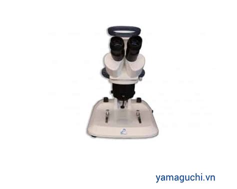 Em 30 Stereo Microscope