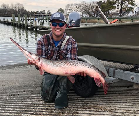 Maryland Department Of Natural Resources New State 🐟 Record