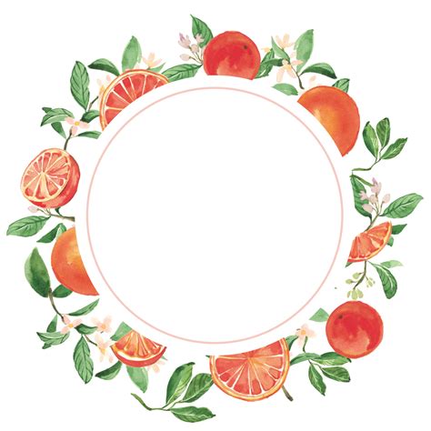 Orange Frame Of Orange 28714090 Png