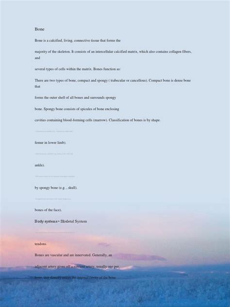 An Overview Of Bone Structure Classification Function Development