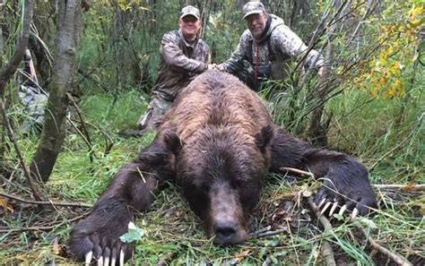 10 Day Alaska Grizzly Bear Hunt For One Hunter And One Observer