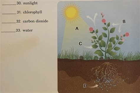 Science Test 2 Flashcards Quizlet