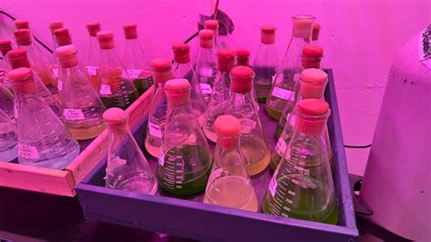 From Health To Critical Minerals A Laurentian University Research Team
