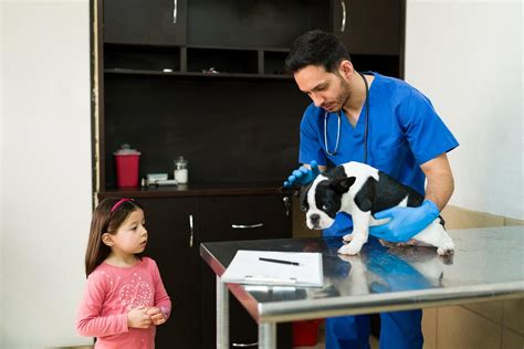 The Future Of Veterinary Diagnostics By Henny Benna Oct 2023 Medium