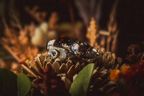 Aaron Tanis Photography