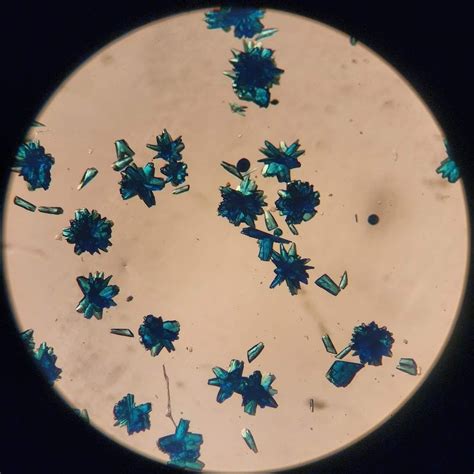 Guess What🌼 ©muhammad Abbas R Materialsscience