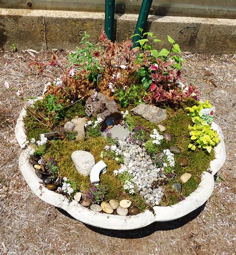 Miniature Gardening Town And Country Nurseries
