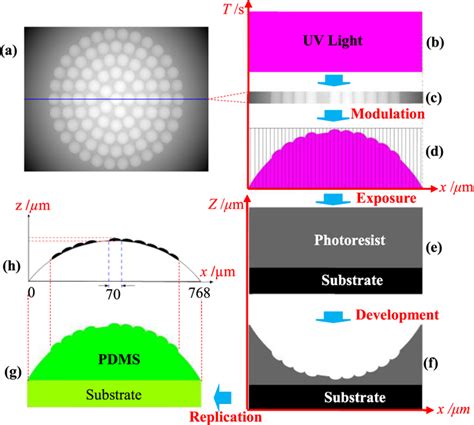 Fast Fabrication Of Curved Microlens Array Using Dmd Based Lithography Aip Advances Aip