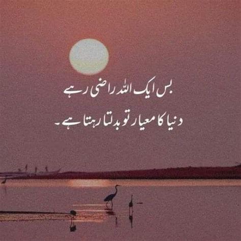 ayesha nasir posted on linkedin