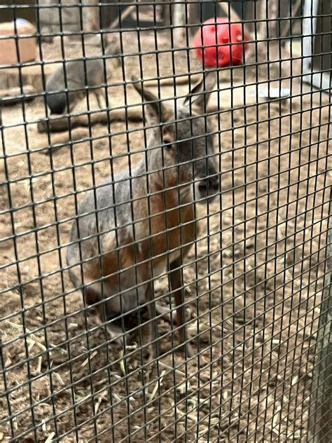 Norcal Aquarium And Wildlife Updated December 2025 103 Photos And 39