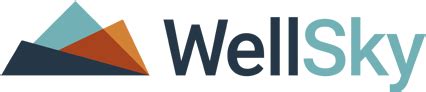 Domain Owner Whois And Analysis