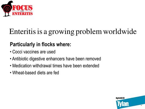 Ppt Understanding The Enteritis Syndrome A Guide To Diagnosis Powerpoint Presentation Id