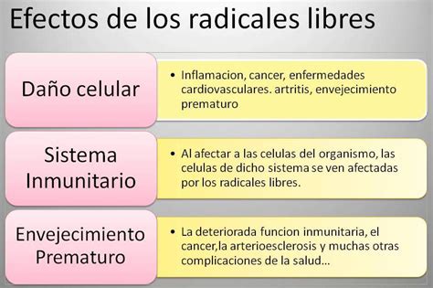 Educar Desde La Familia Cómo Regenerar Todas Y Cada Una De Las Células