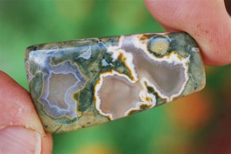 Rainforest Jasper Etsy