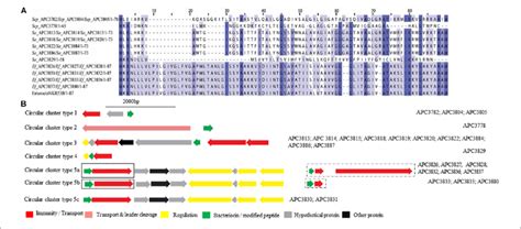 multiple sequence alignments msa of class iic bacteriocin