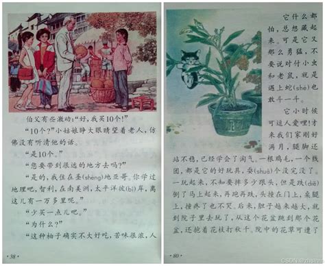 童年时代 80、90后小学语文老课本12册超清大全 80后90后小学语文课本 六年制 Pdf版 Csdn博客