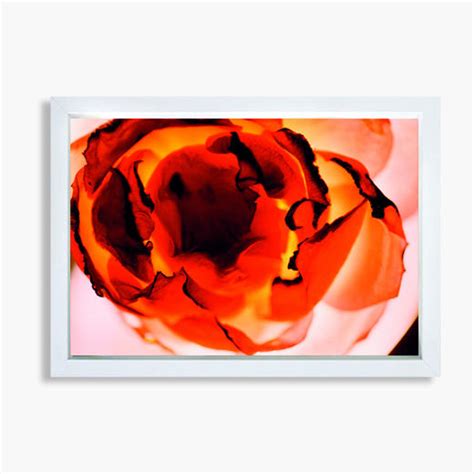 王小慧花之灵王小慧第11页大山谷图库