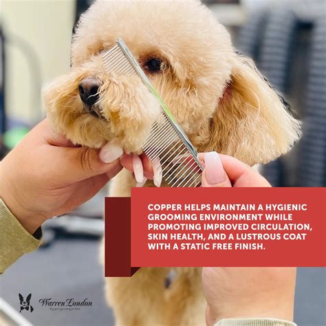 Warren London Grooming Combs