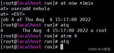 Linux计划任务调度：at与cron详解 Csdn博客