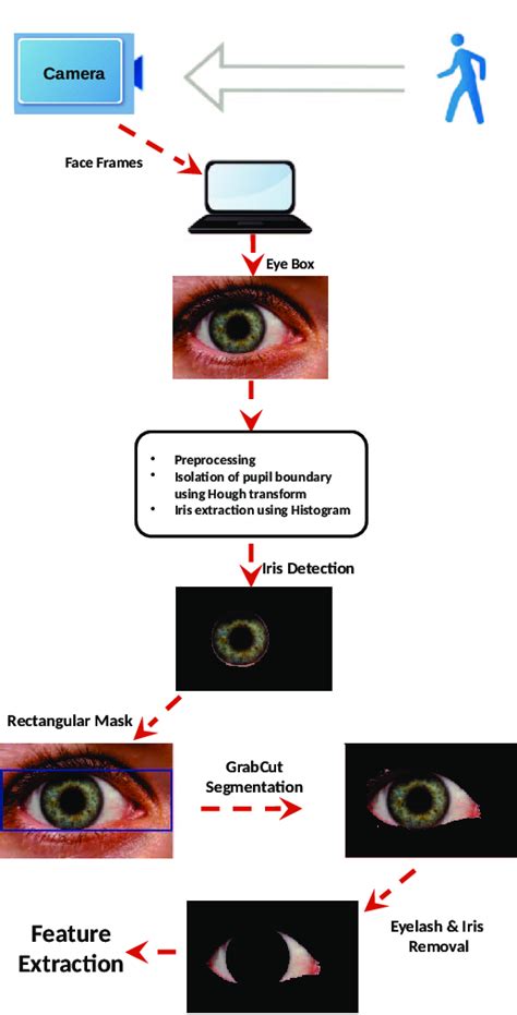 Sclera Segmentation Process Download Scientific Diagram