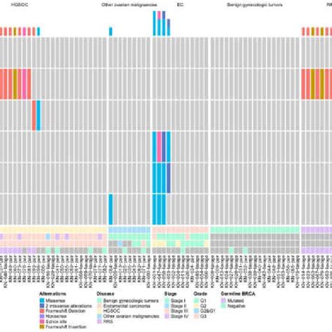 Oncoprint Of Uterine Cavity Lavage Samples Ec Endometrial Cancer