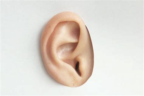 The Best Hydrogen Peroxide For Ear Wax