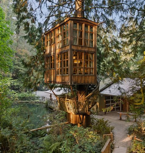 Blue Moon Treehouse Stay — Treehouse Point
