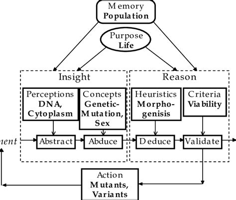 Evolution As An Intelligence Process Download Scientific Diagram