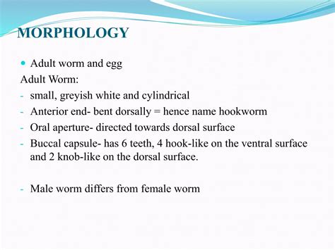 Hookworm Pptx