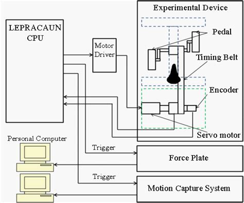 Figure 1 From Evaluating Human Motor Function Of Lower Limbs In