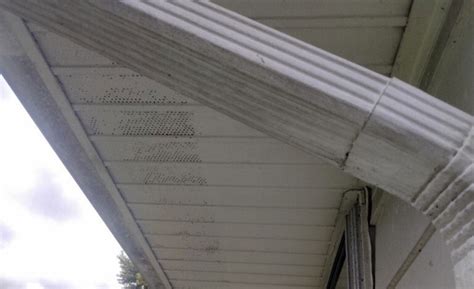 Whats Really Underneath The Vented Soffit Panels Roofing Contractor