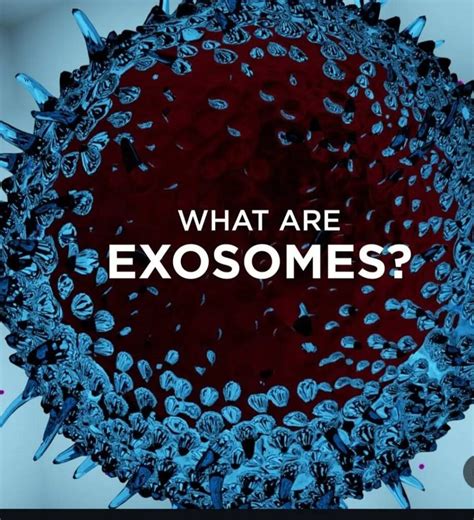 All About Microneedling With Exosomes Paradise Wellness