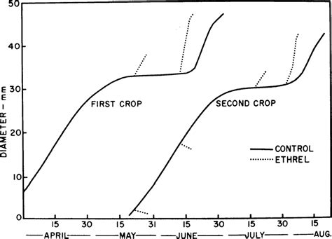 Effect Of Ethrel 500 Ppm Applied At Various Times To Firstand Download Scientific Diagram